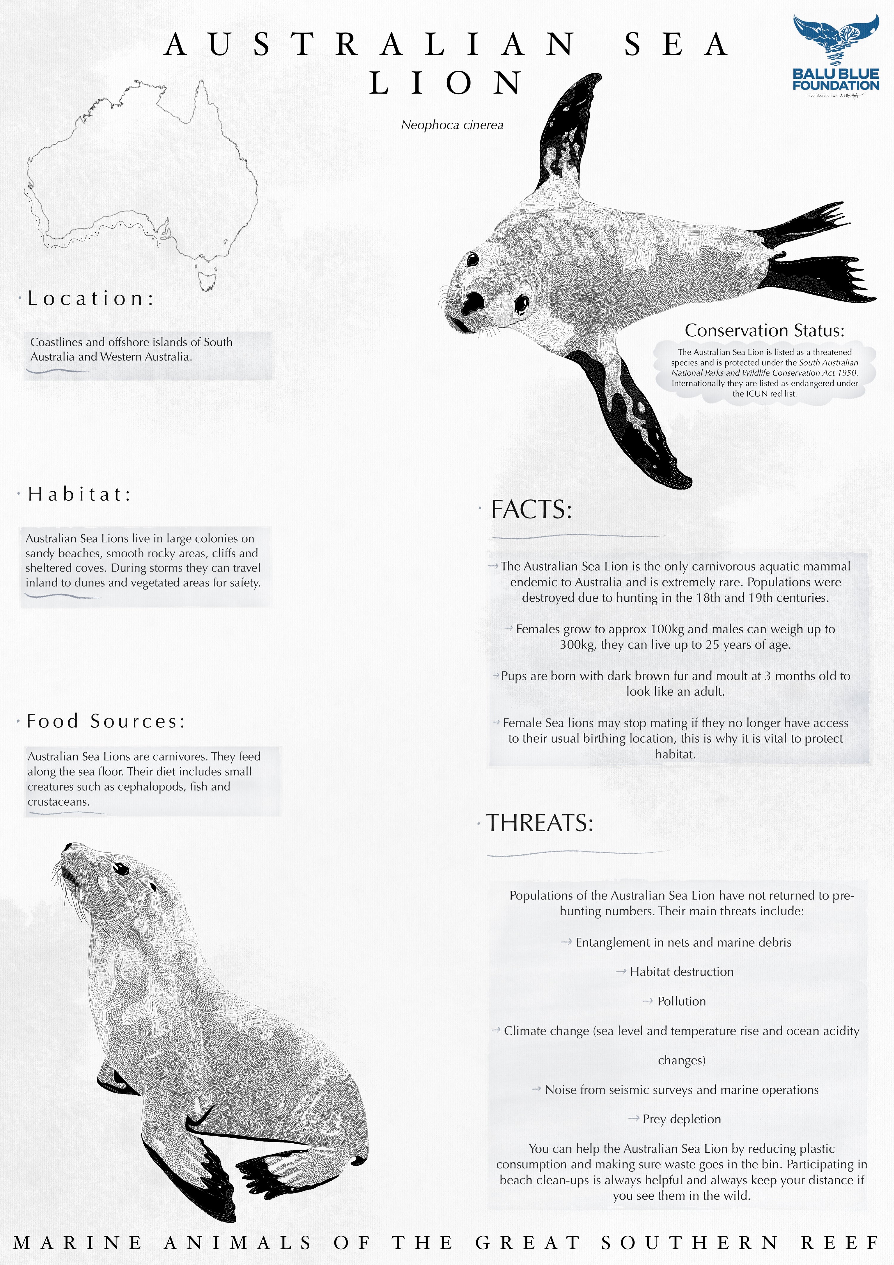Downloadable Wildlife Posters – BaluBlueFoundation