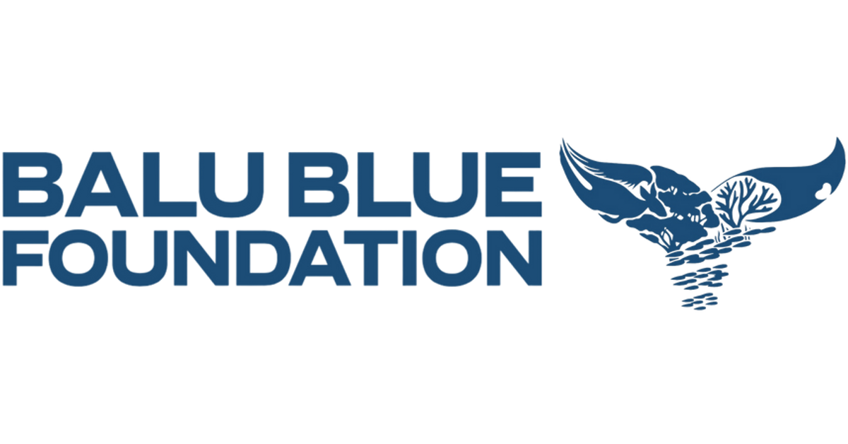 Blue Foundation Logo